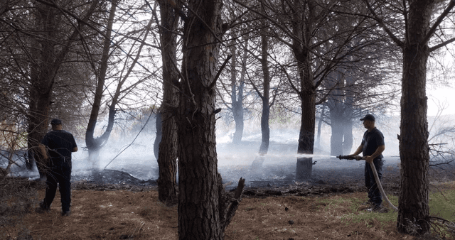Shkrumbohet masivi pyjor në Fier, forcat zjarrfikëse punojnë për ...