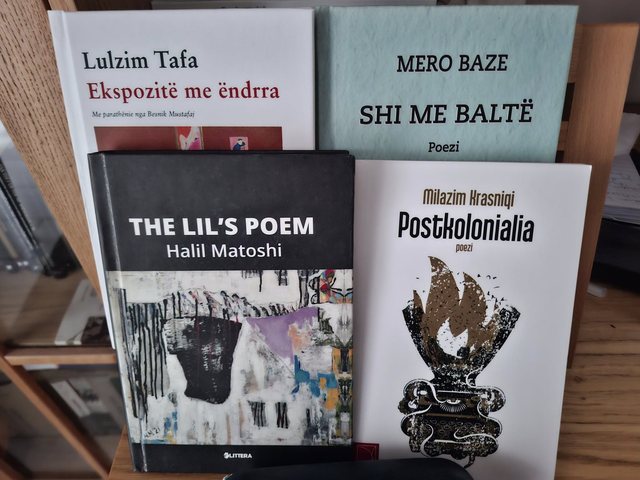Katër librat me poezi që duhet të lexoni për vitin 2024. Shkrimtari ...